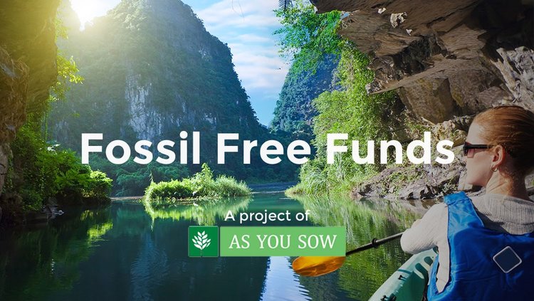 Fossil Free Funds | Blog