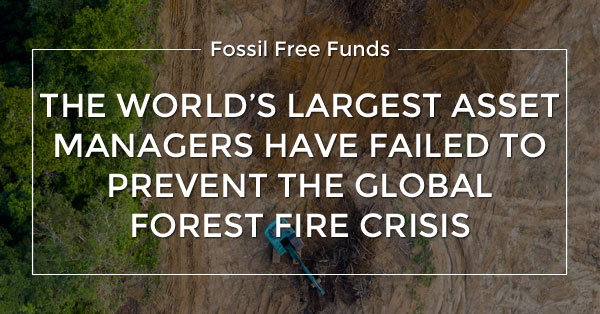 The world’s largest asset managers have failed to prevent the global ...